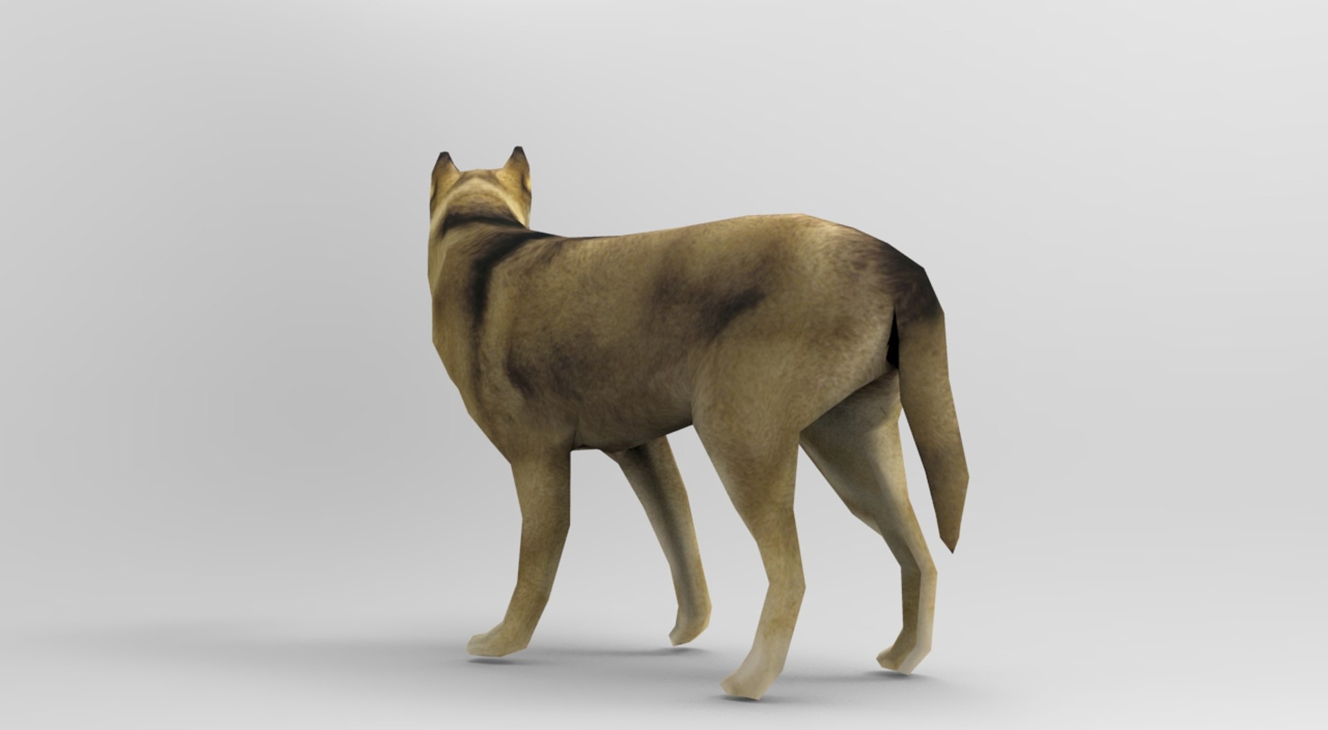 3D german shepherd dog rigged model | 1143696 | TurboSquid