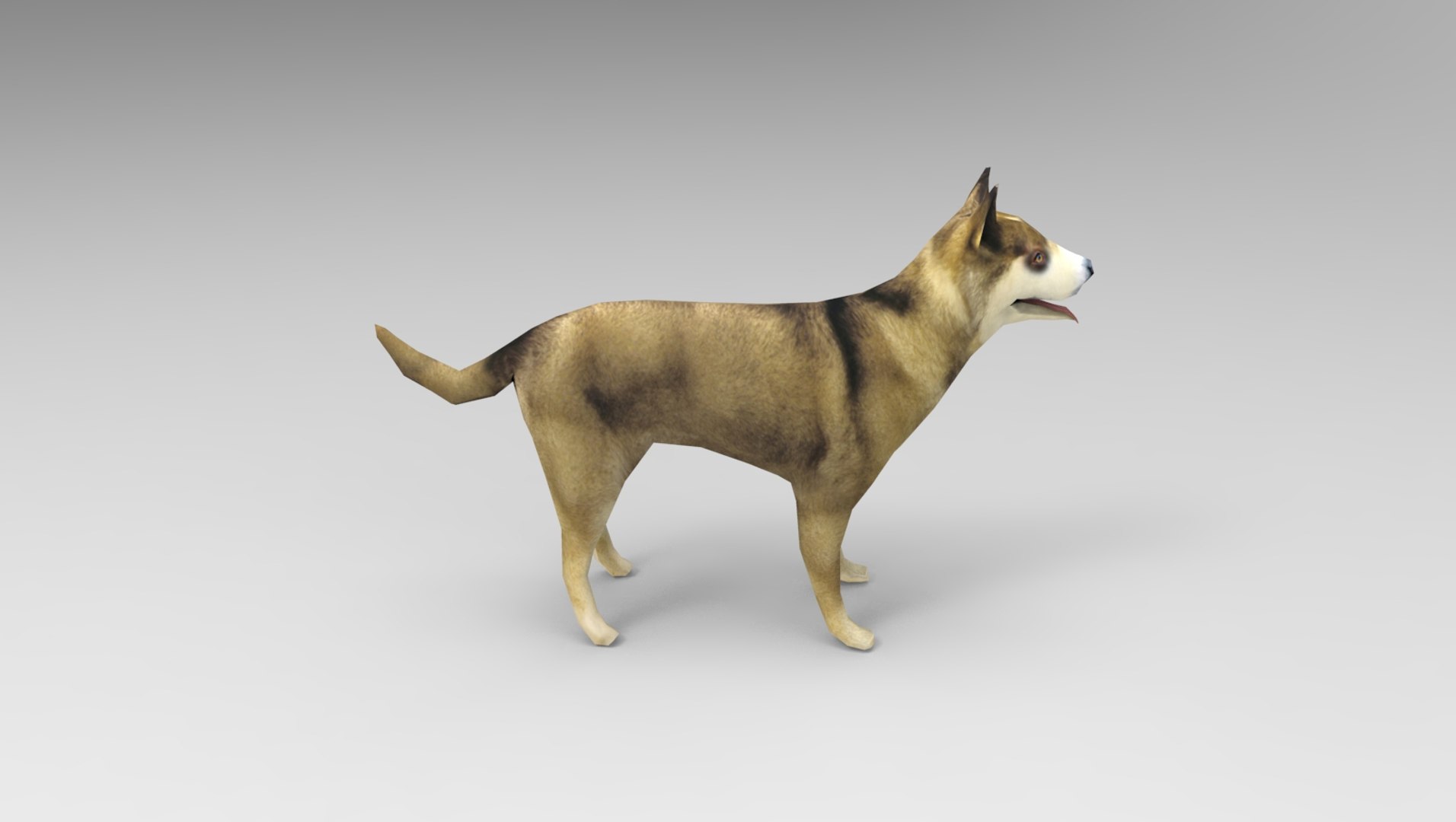 3D german shepherd dog rigged model | 1143696 | TurboSquid