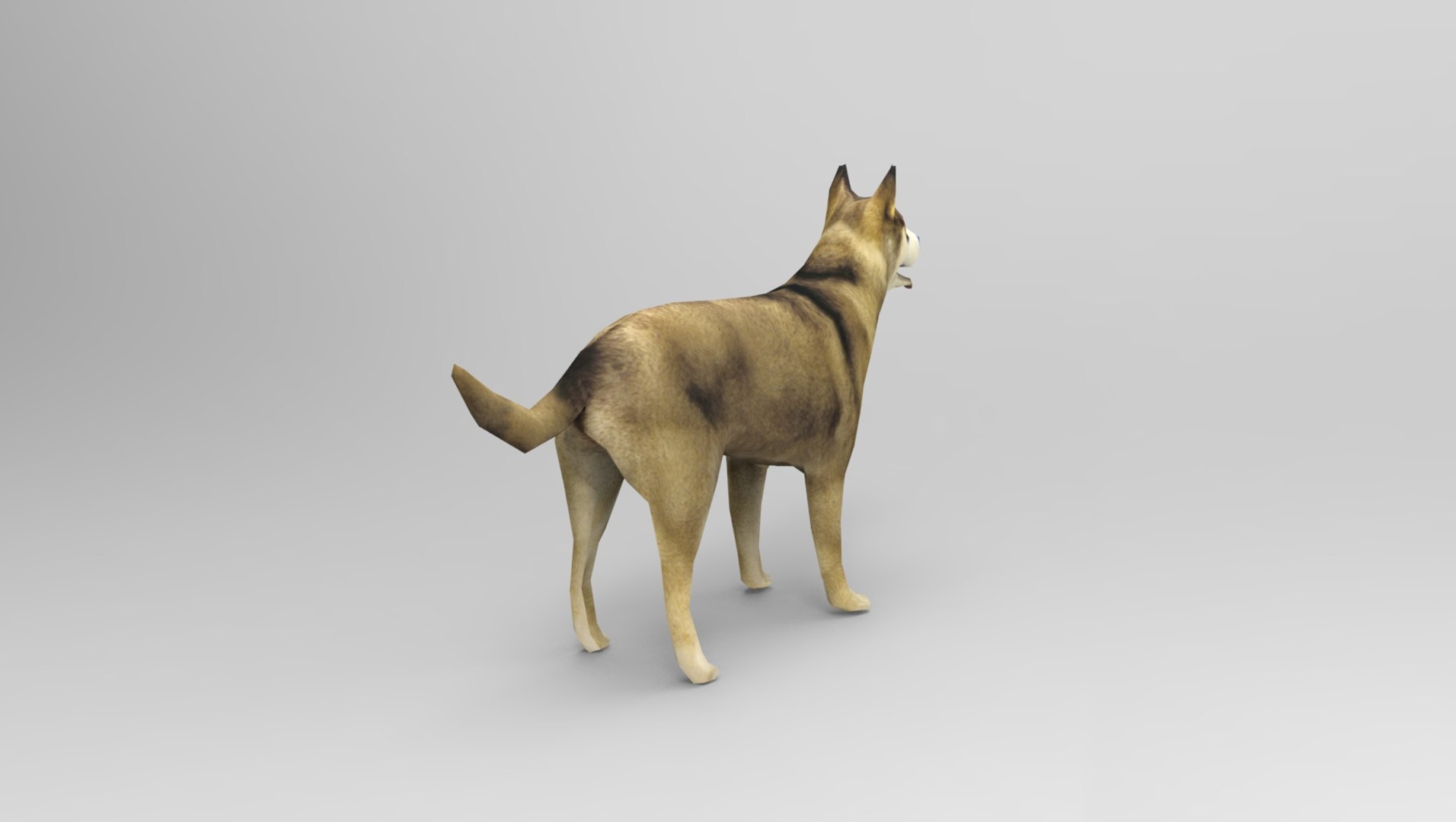 3D German Shepherd Dog Rigged Model | 1143696 | TurboSquid