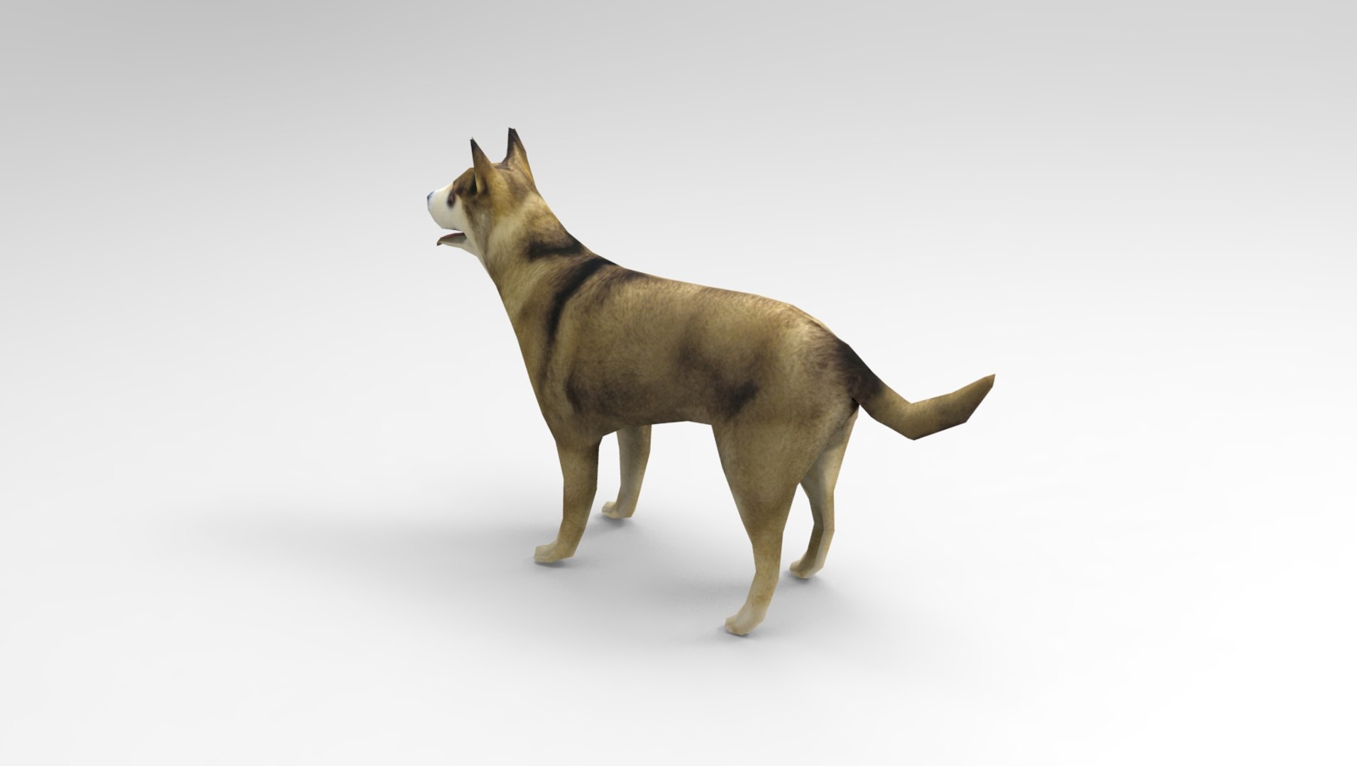 3D german shepherd dog rigged model | 1143696 | TurboSquid