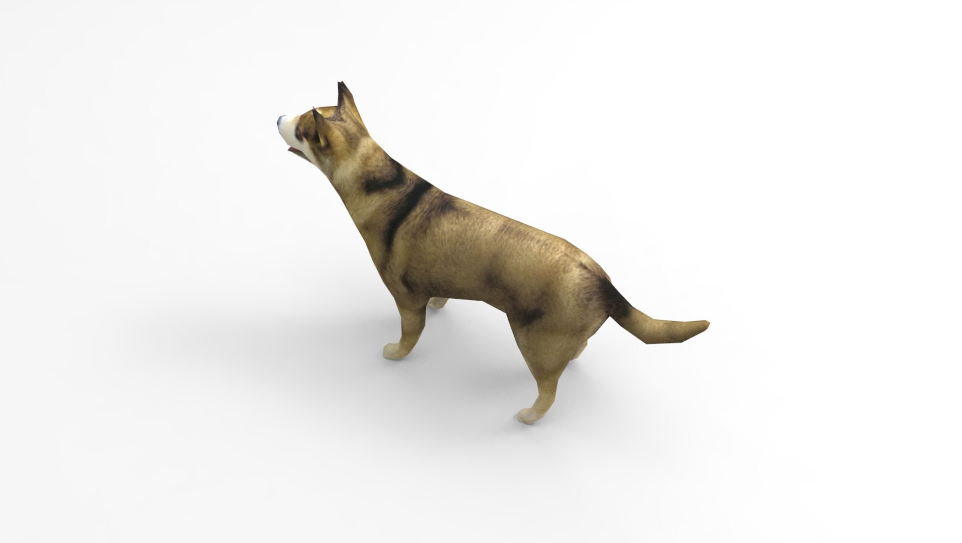 3D german shepherd dog rigged model | 1143696 | TurboSquid