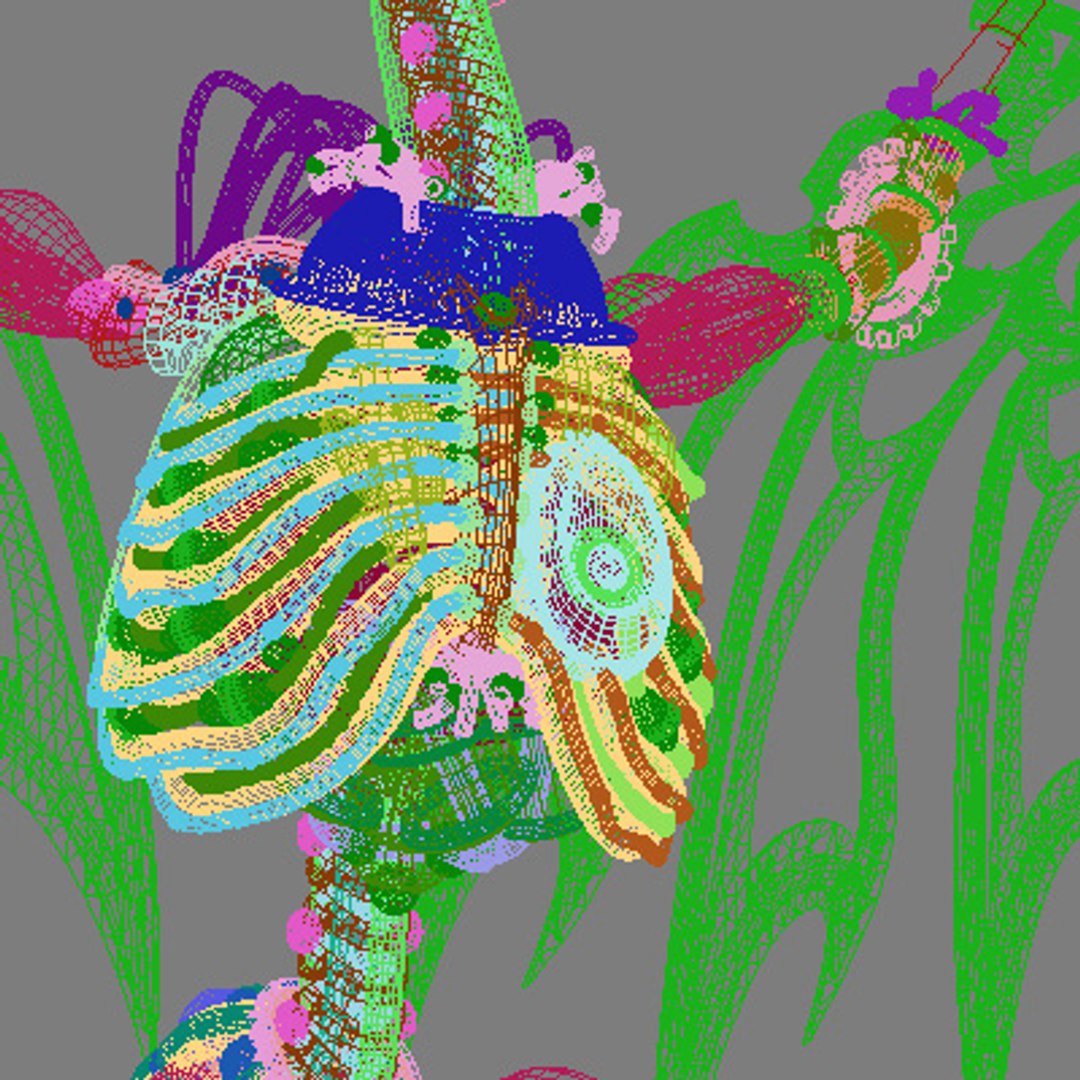 Phoenix - Evolution Max