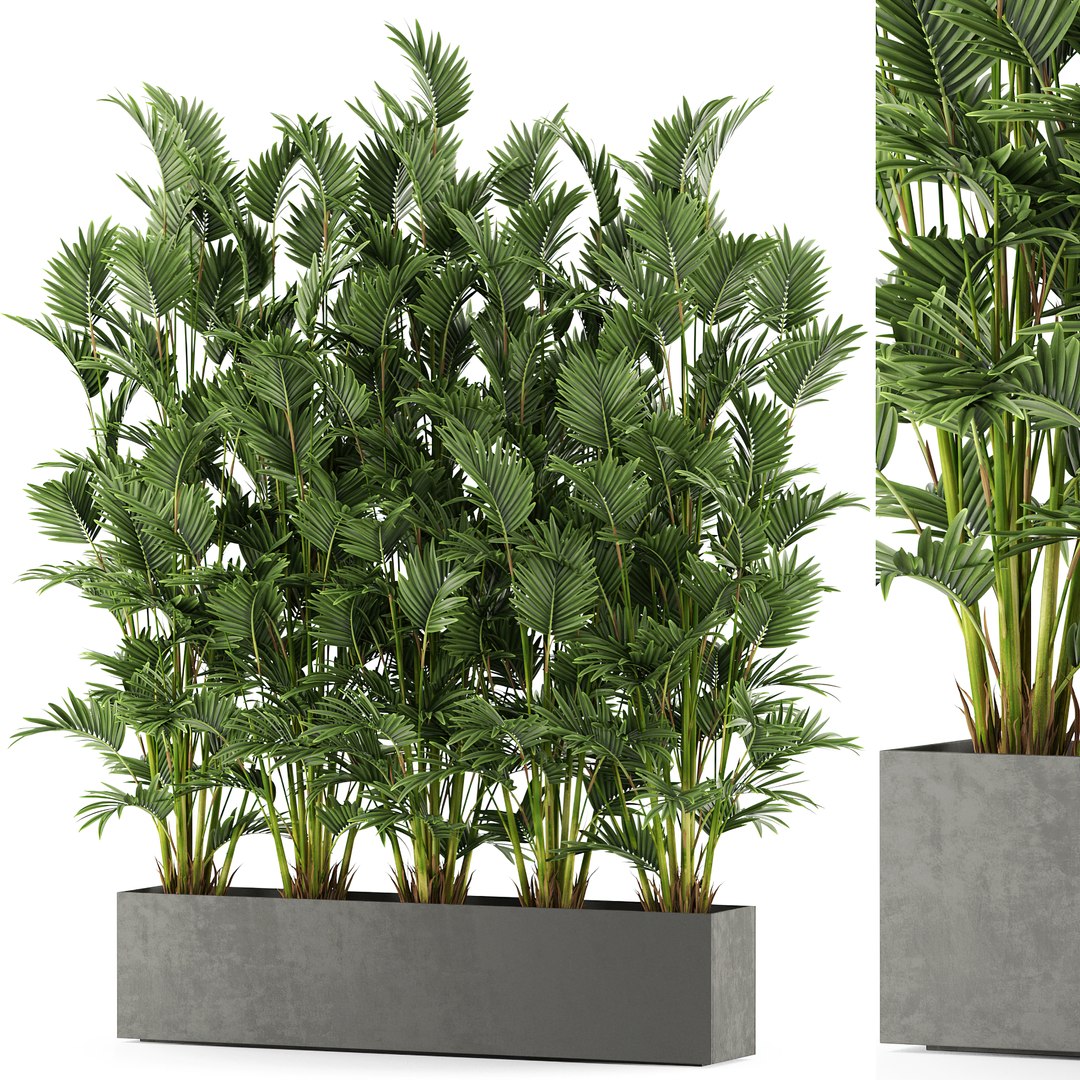 3D model Plants collection 472 - TurboSquid 1784586