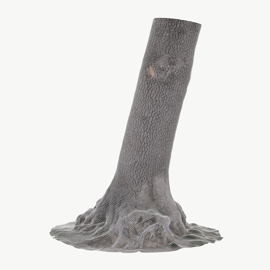 3D High Quality Scan Ash Tree Trunk - 1 Model - TurboSquid 2207971