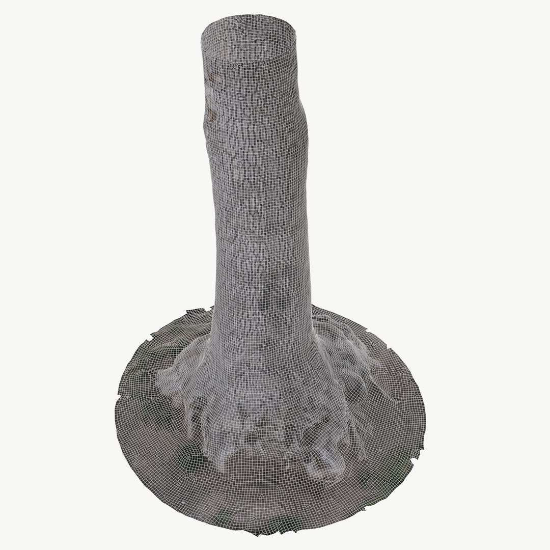 3D High Quality Scan Ash Tree Trunk - 1 Model - TurboSquid 2207971