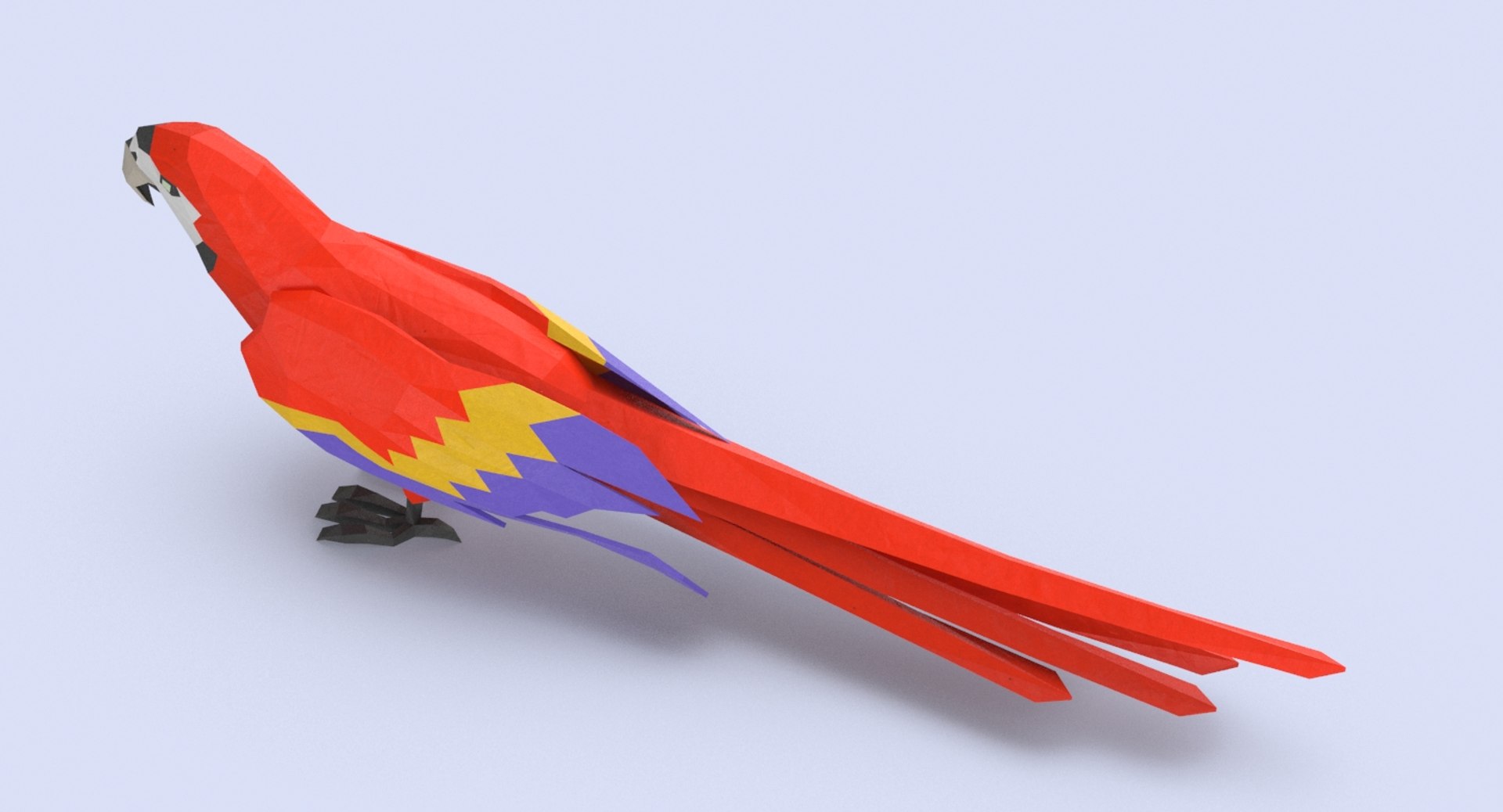 3D Parrot----red-standing Model - TurboSquid 1238012