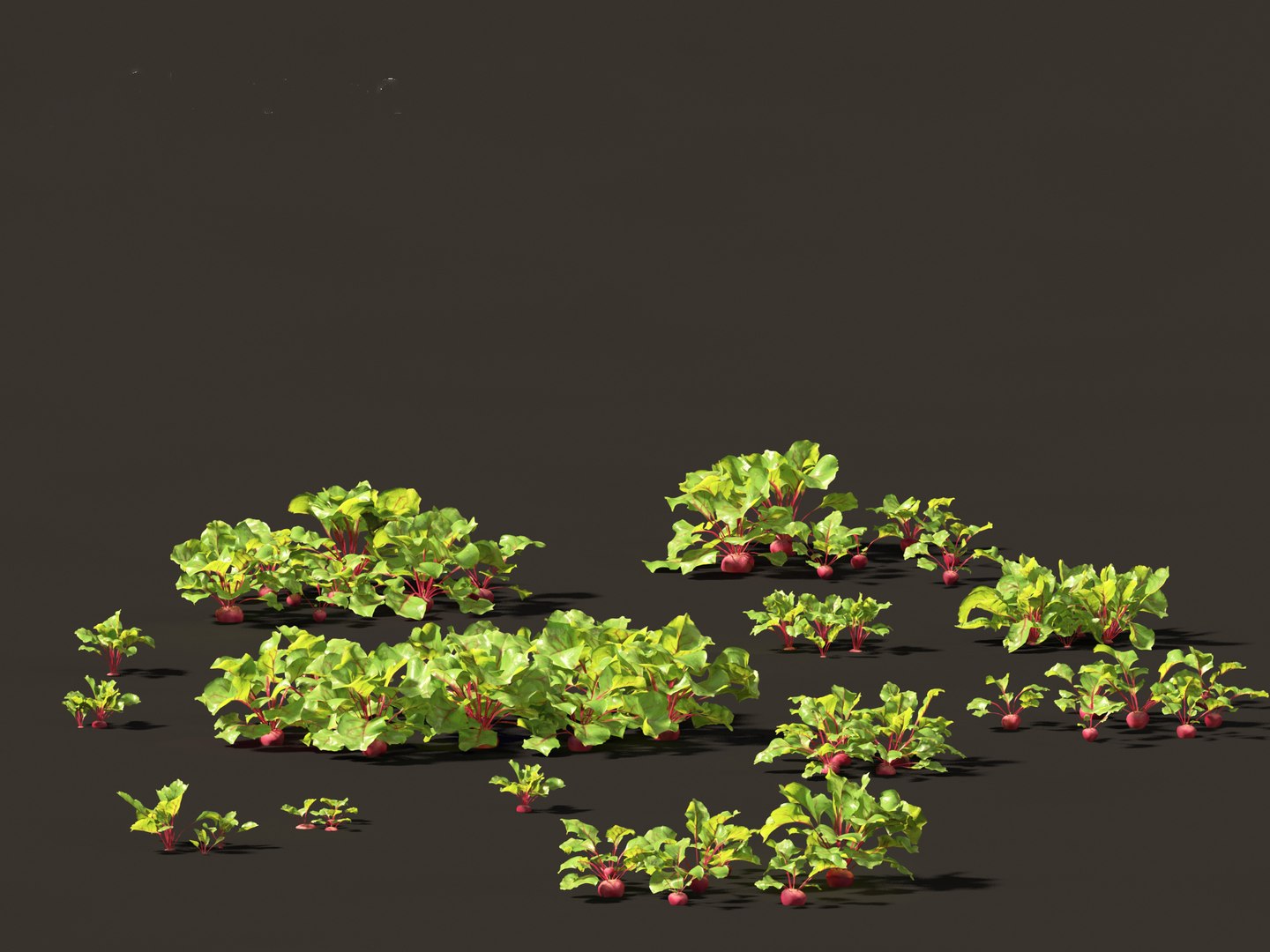3D Beets - Beta Vulgaris - TurboSquid 2140607