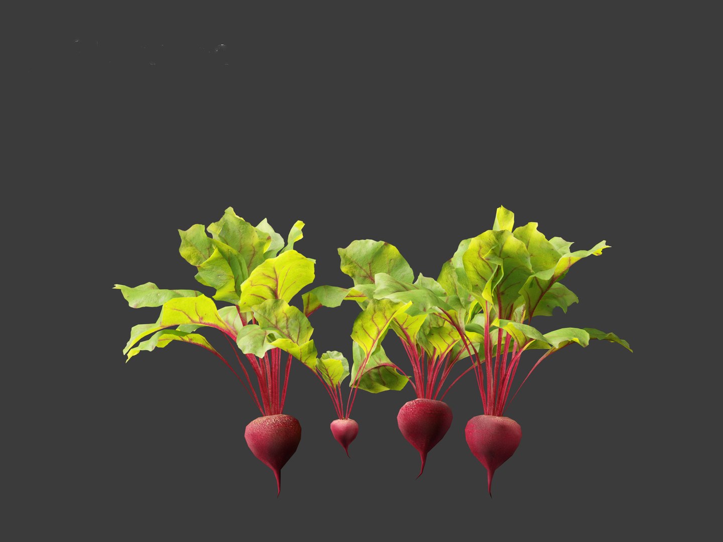 3D Beets - Beta Vulgaris - TurboSquid 2140607