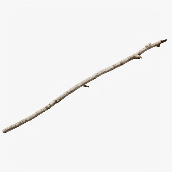 modelo 3d Célula madre Sprig 11 escaneada - TurboSquid 2398692