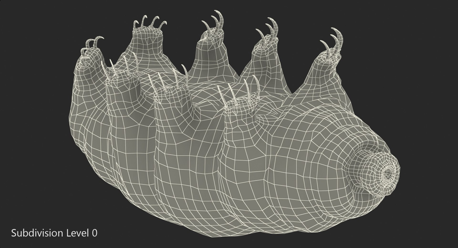 3D tardigrade rigged - TurboSquid 1479571