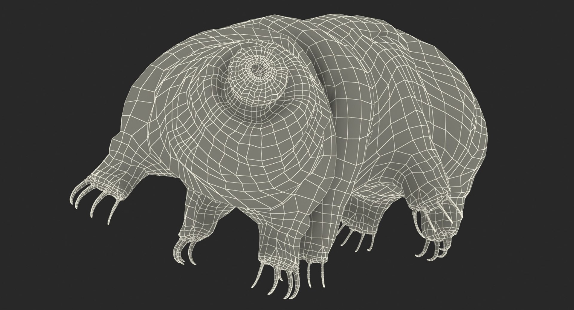 3D tardigrade rigged - TurboSquid 1479571