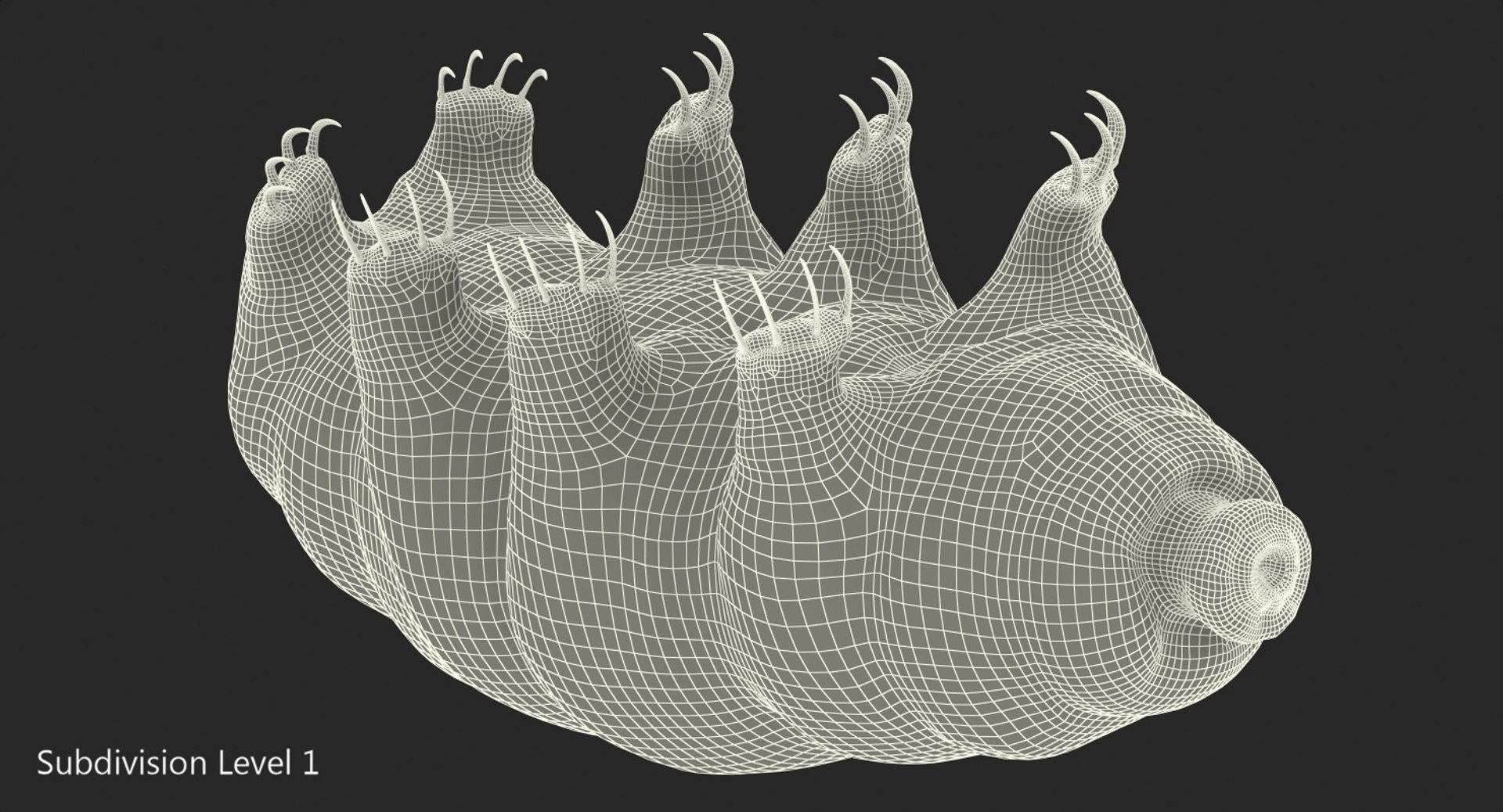 3D tardigrade rigged - TurboSquid 1479571