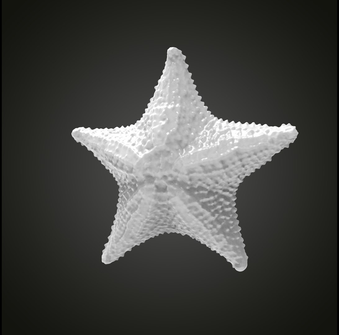 3D Starfish Model - TurboSquid 1877434