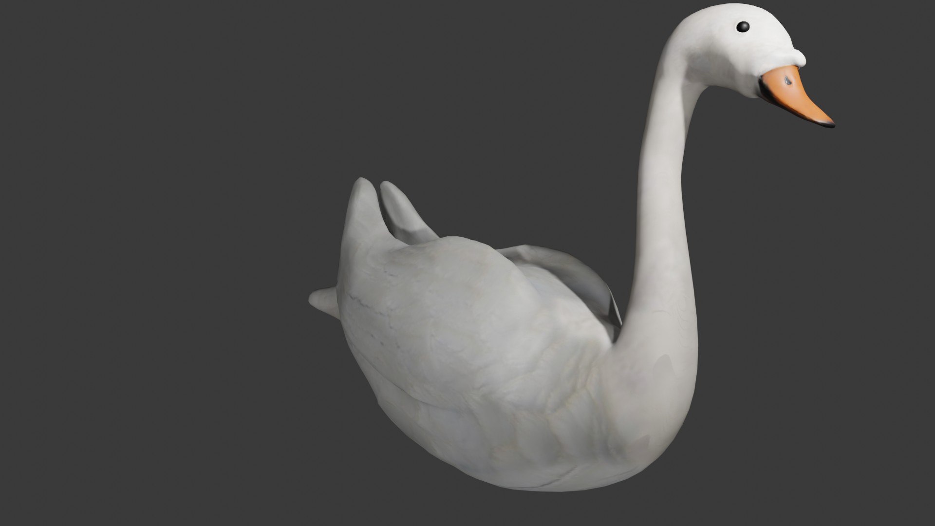 Duck 3D Model - TurboSquid 1649274