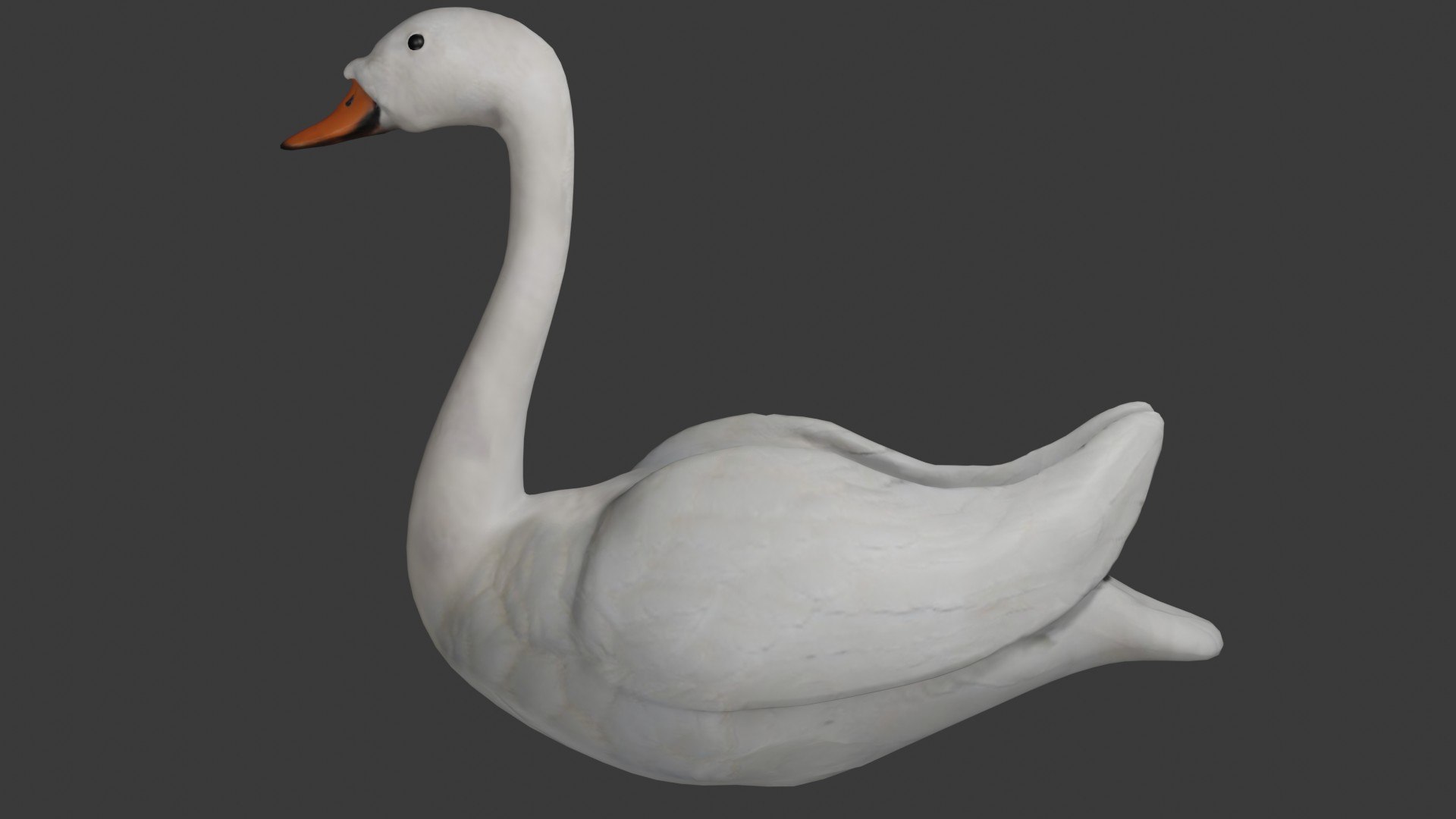 Duck 3D Model - TurboSquid 1649274