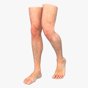 3D Legs Models - Browse & Download Formats - TurboSquid