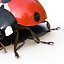 Ladybug Rigged Max