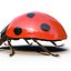 Ladybug Rigged Max