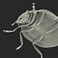 Ladybug Rigged Max