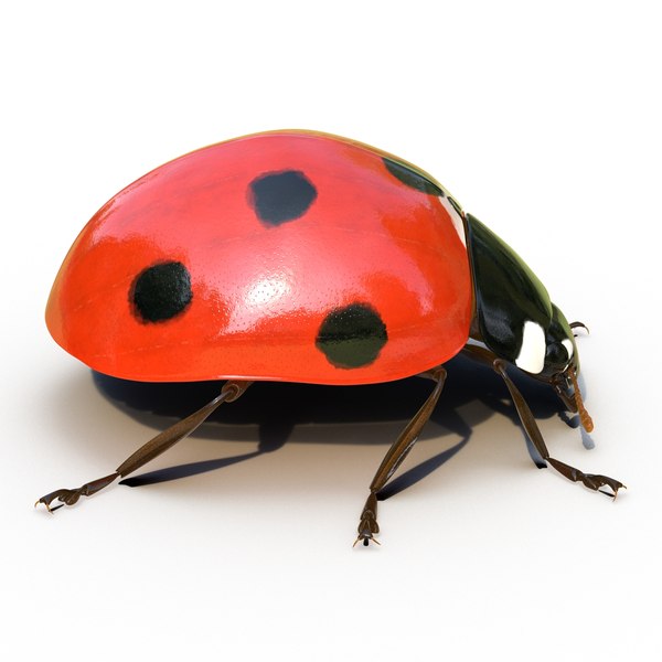 ladybug rigged max