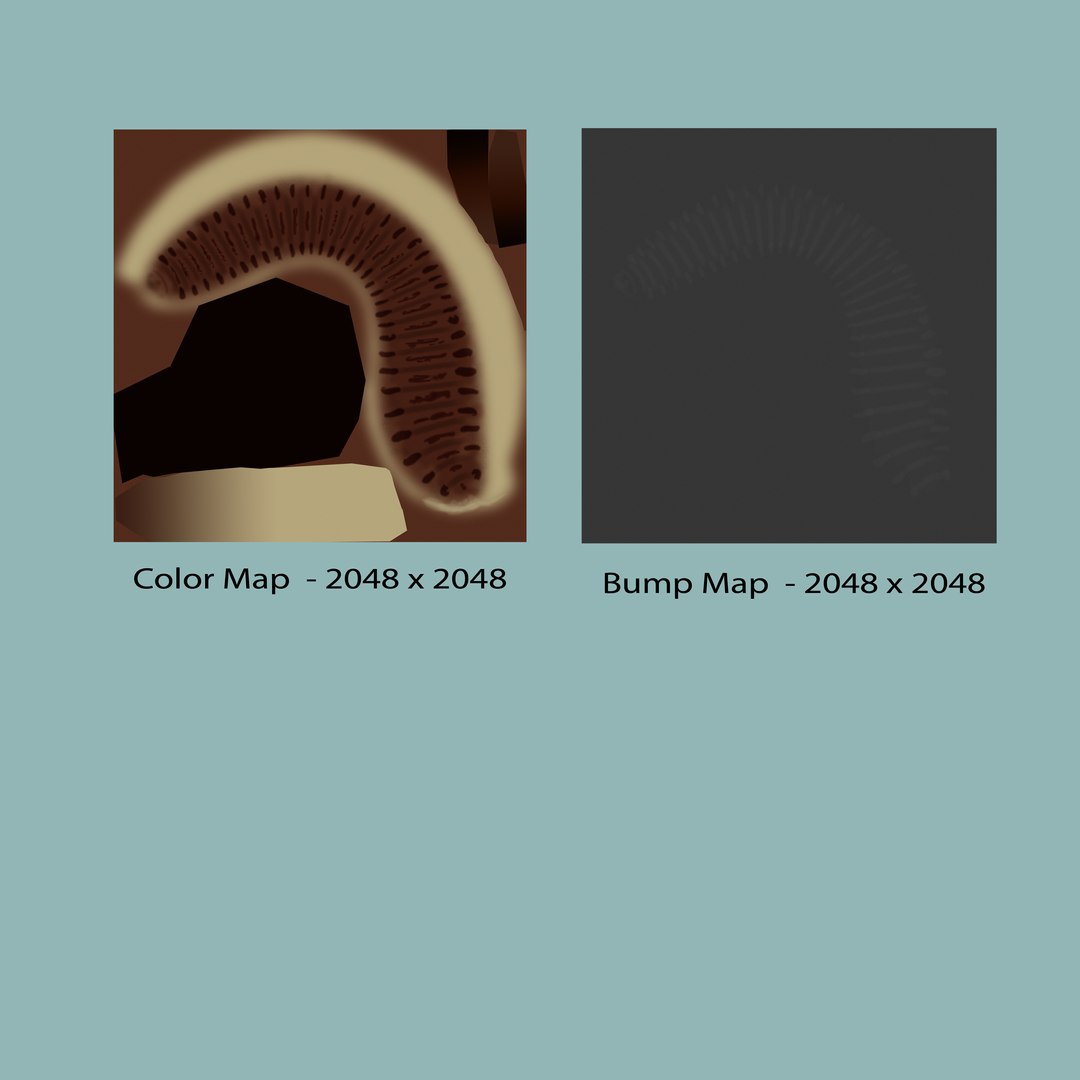 julus genus family obj