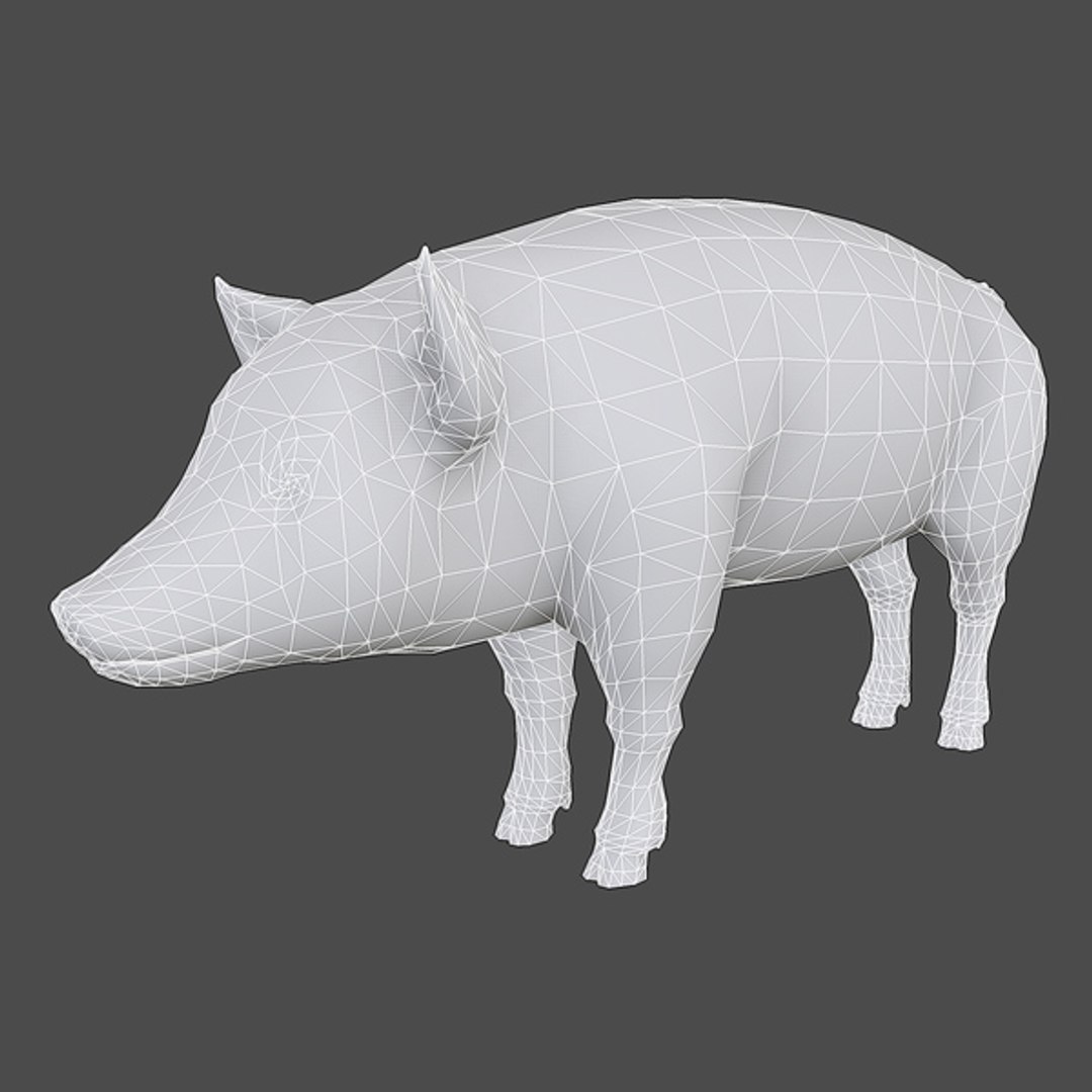 3d Pig Model