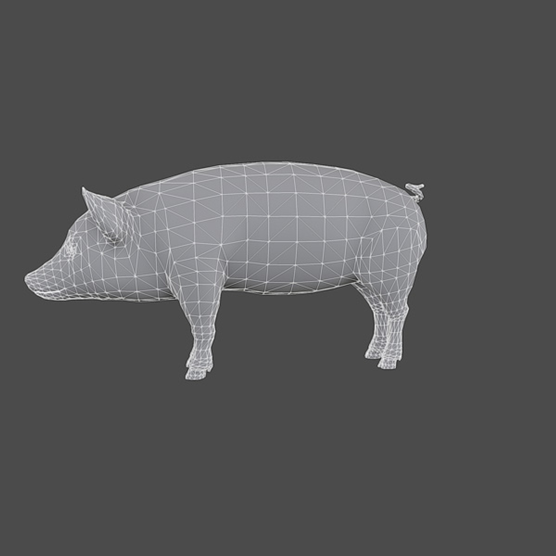 3d Pig Model