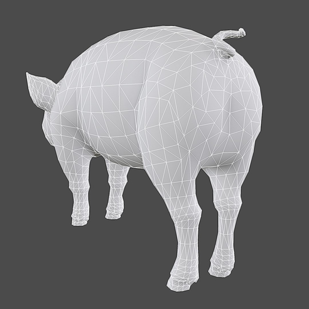 3d Pig Model
