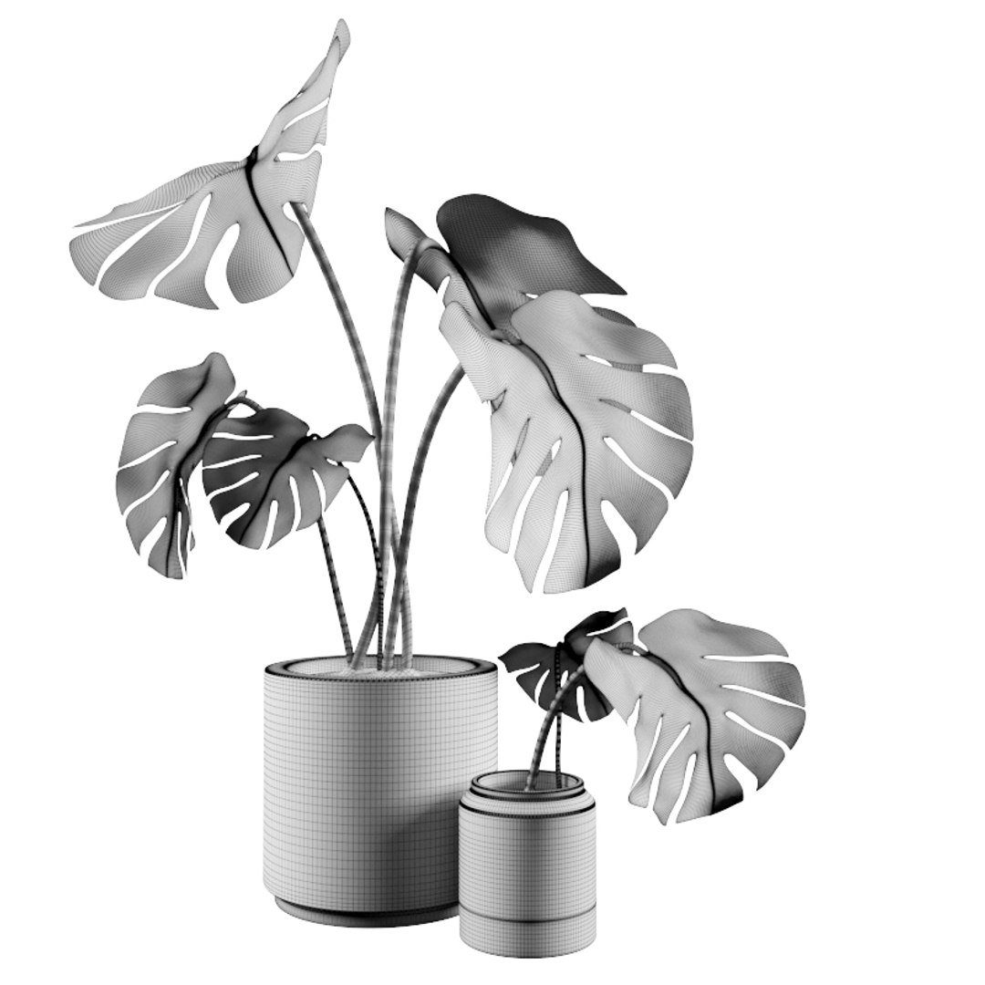 3D Monstera Pot Model - TurboSquid 1490754