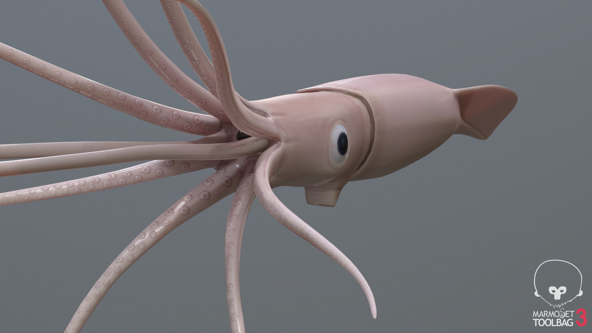 Giant squid 3D model - TurboSquid 1435657