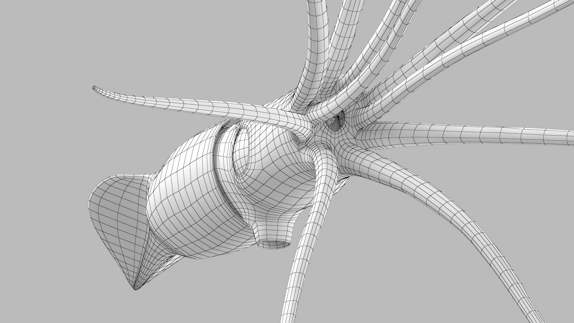 Giant squid 3D model - TurboSquid 1435657