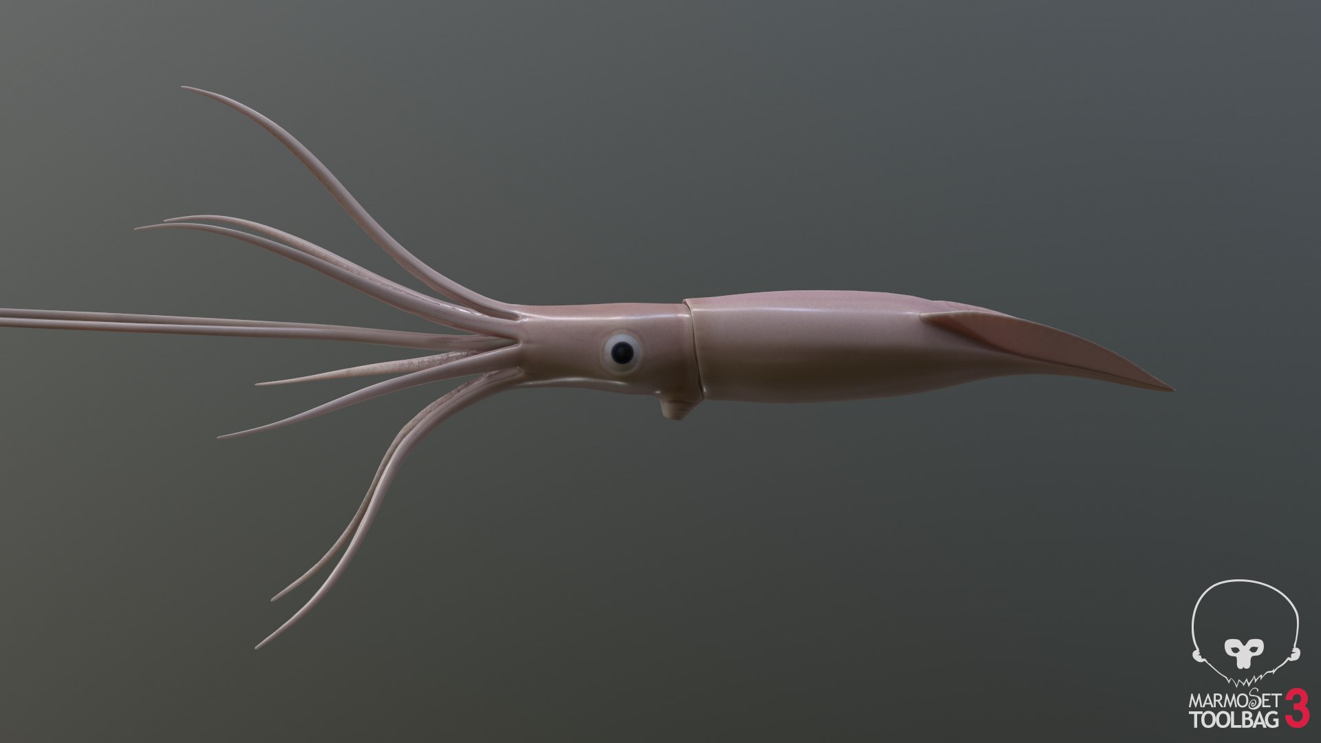Giant squid 3D model - TurboSquid 1435657