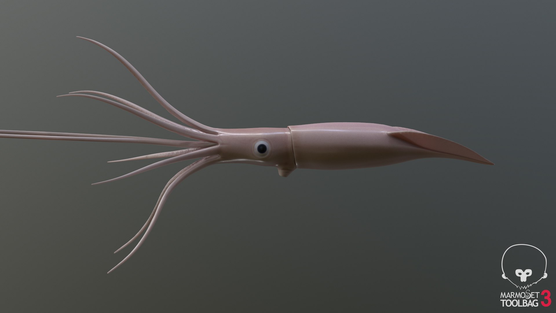 Giant squid 3D model - TurboSquid 1435657