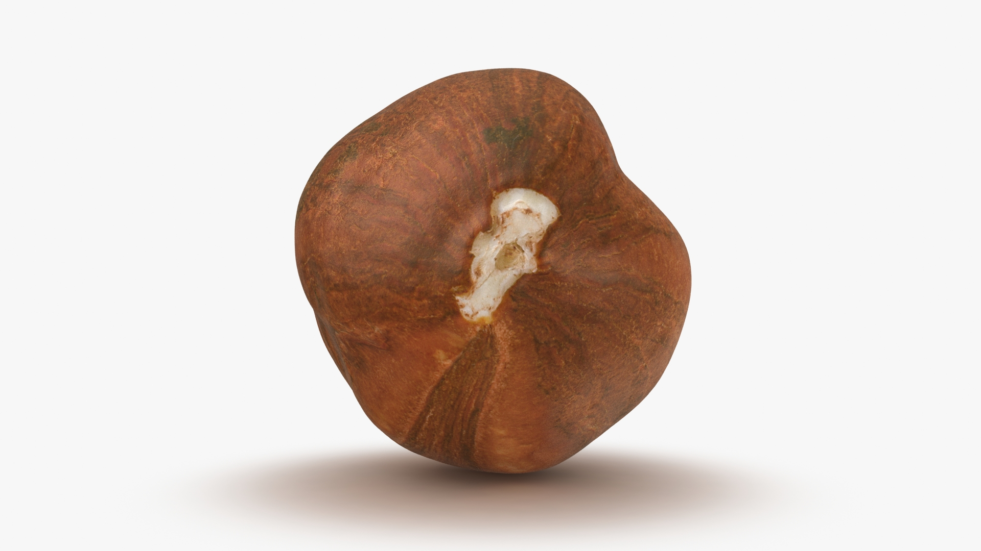 Hazelnut And Hazelnut Shell Collection 3D Model - TurboSquid 2307499