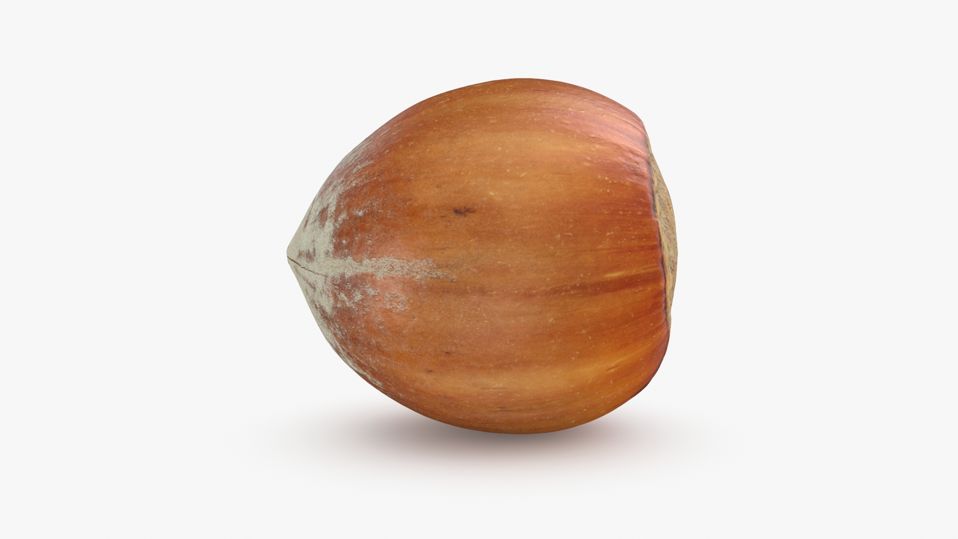 Hazelnut And Hazelnut Shell Collection 3D Model - TurboSquid 2307499