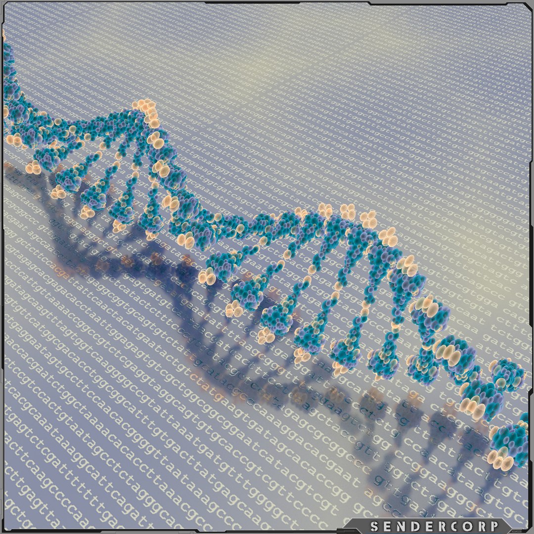 Dna Strand Obj