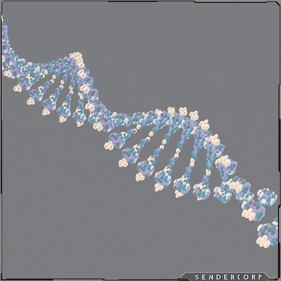 Dna Strand Obj