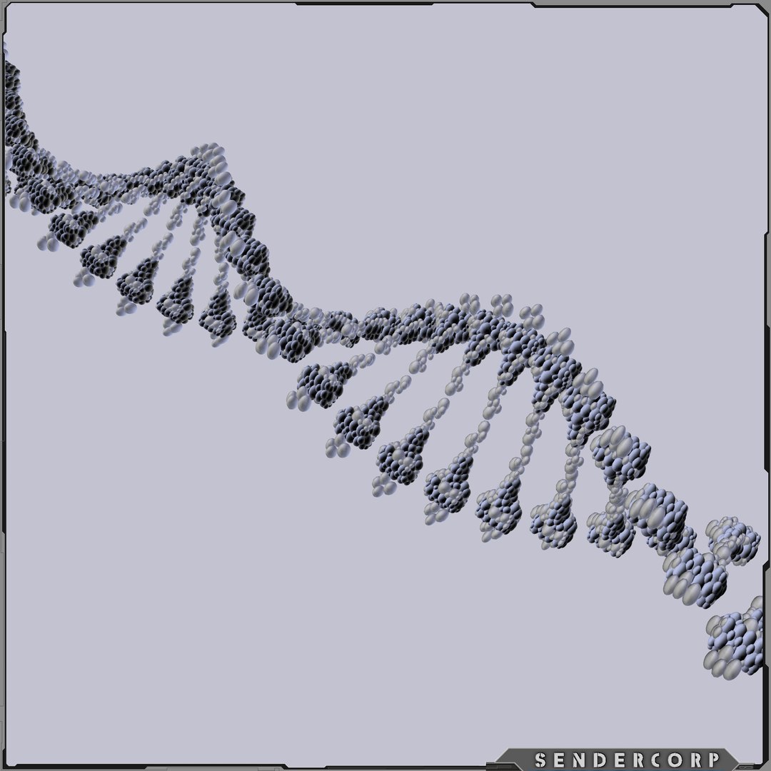 Dna Strand Obj