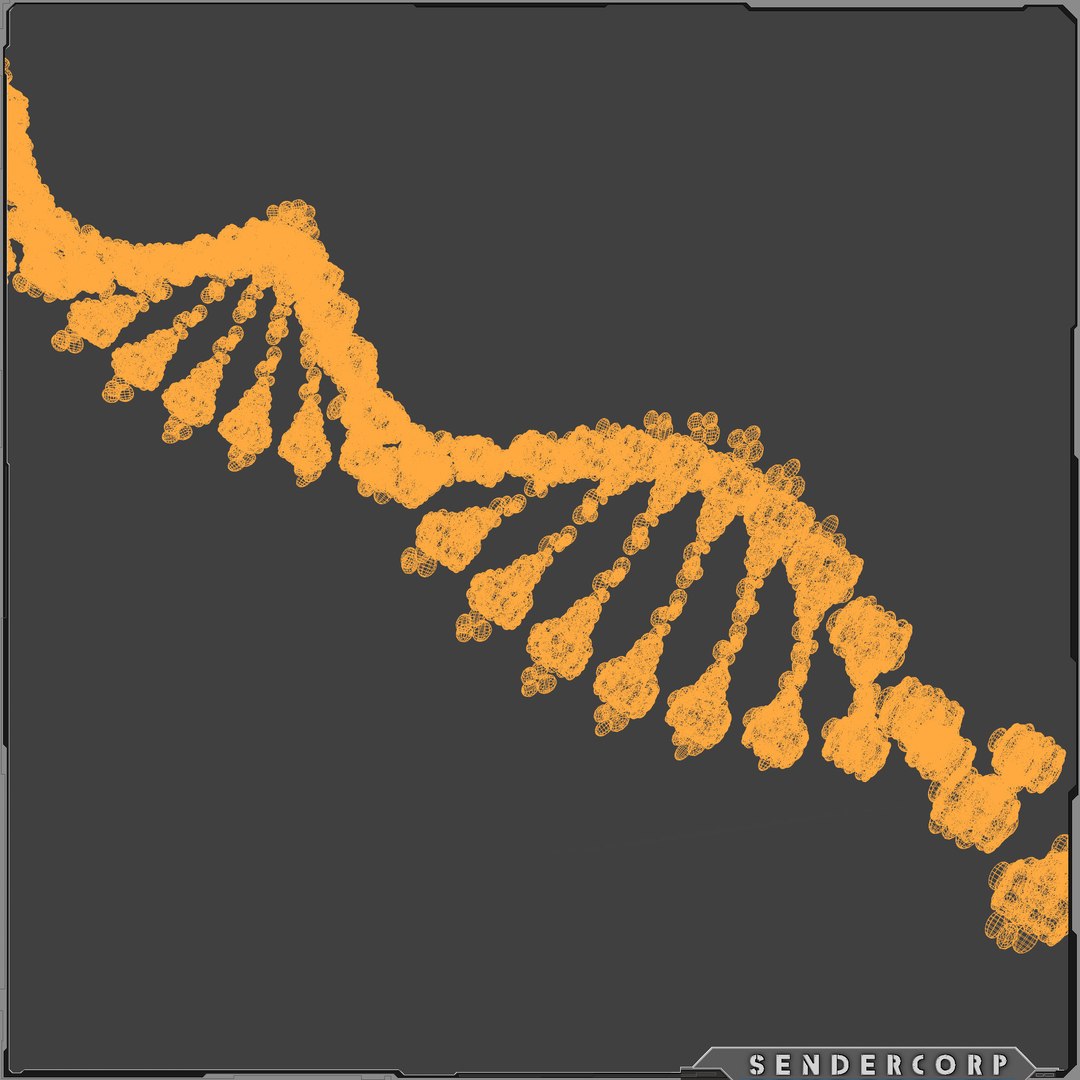 Dna Strand Obj