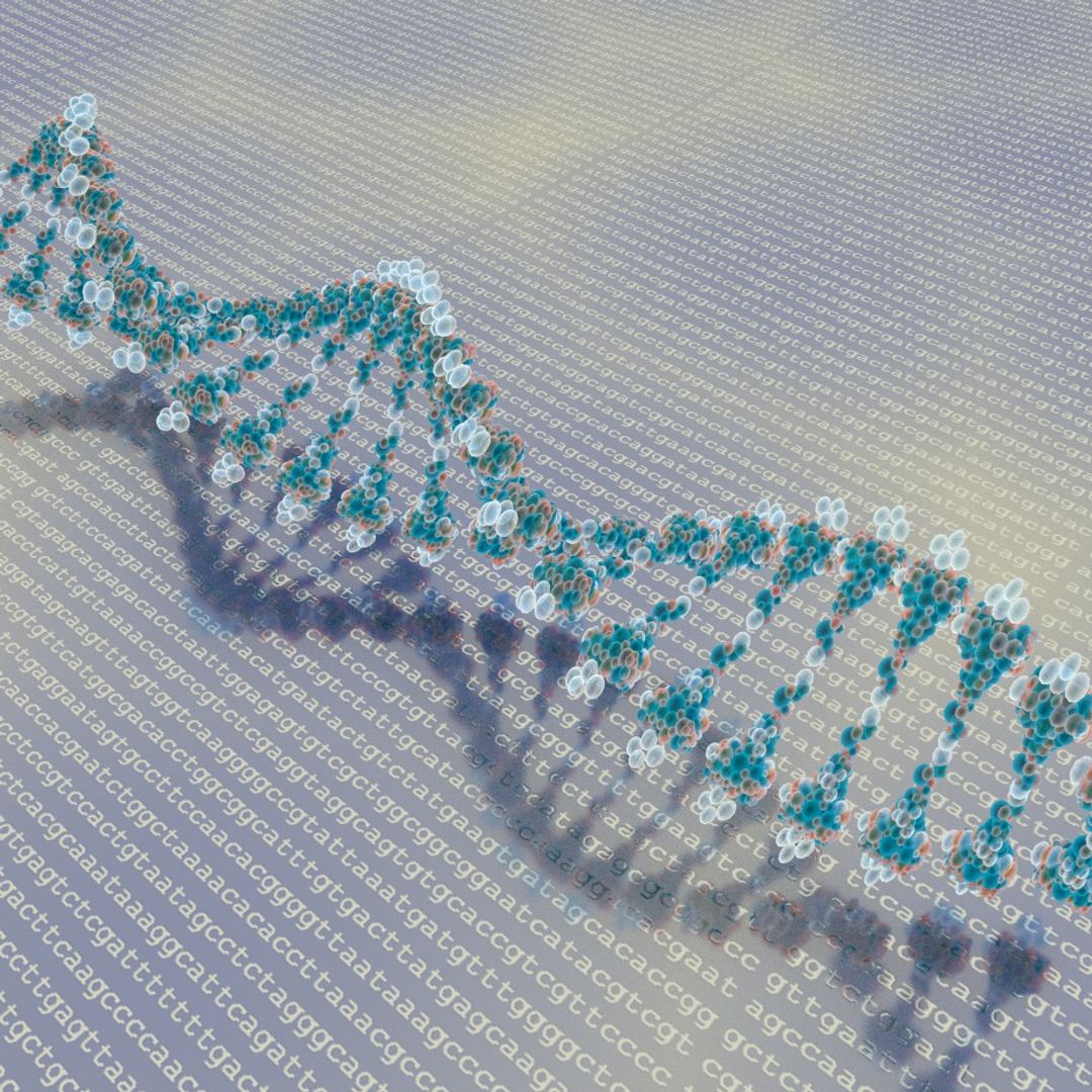 Dna Strand Obj