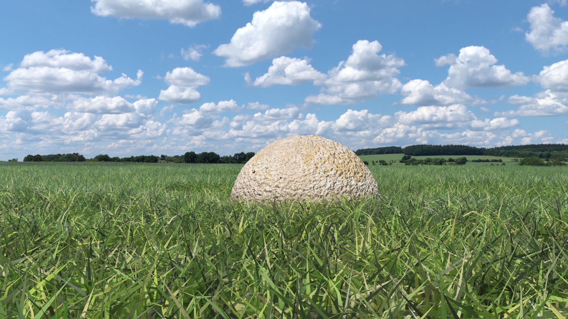 Realistic Grass 3D Model - TurboSquid 1418948