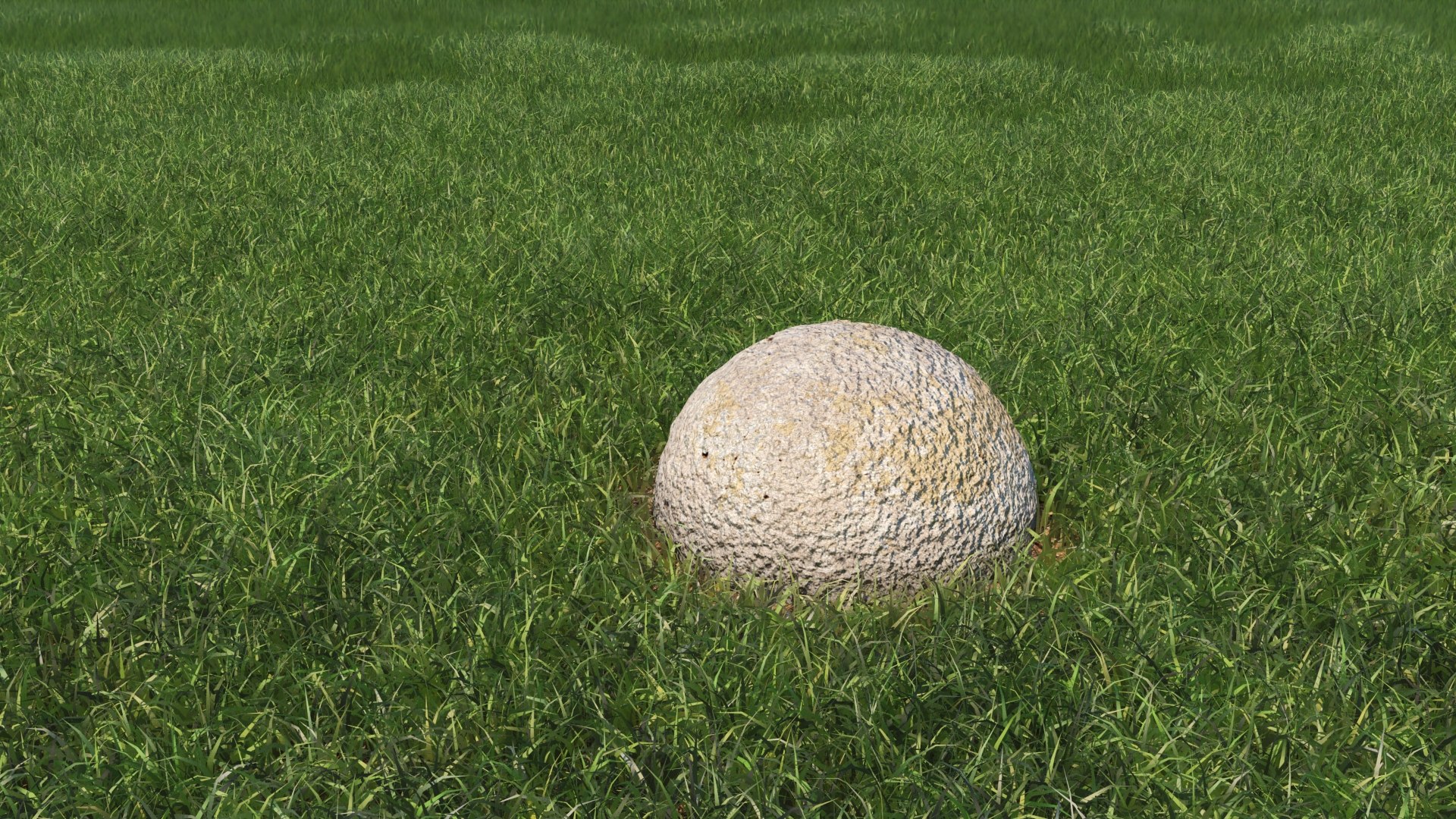 Realistic Grass 3D Model - TurboSquid 1418948