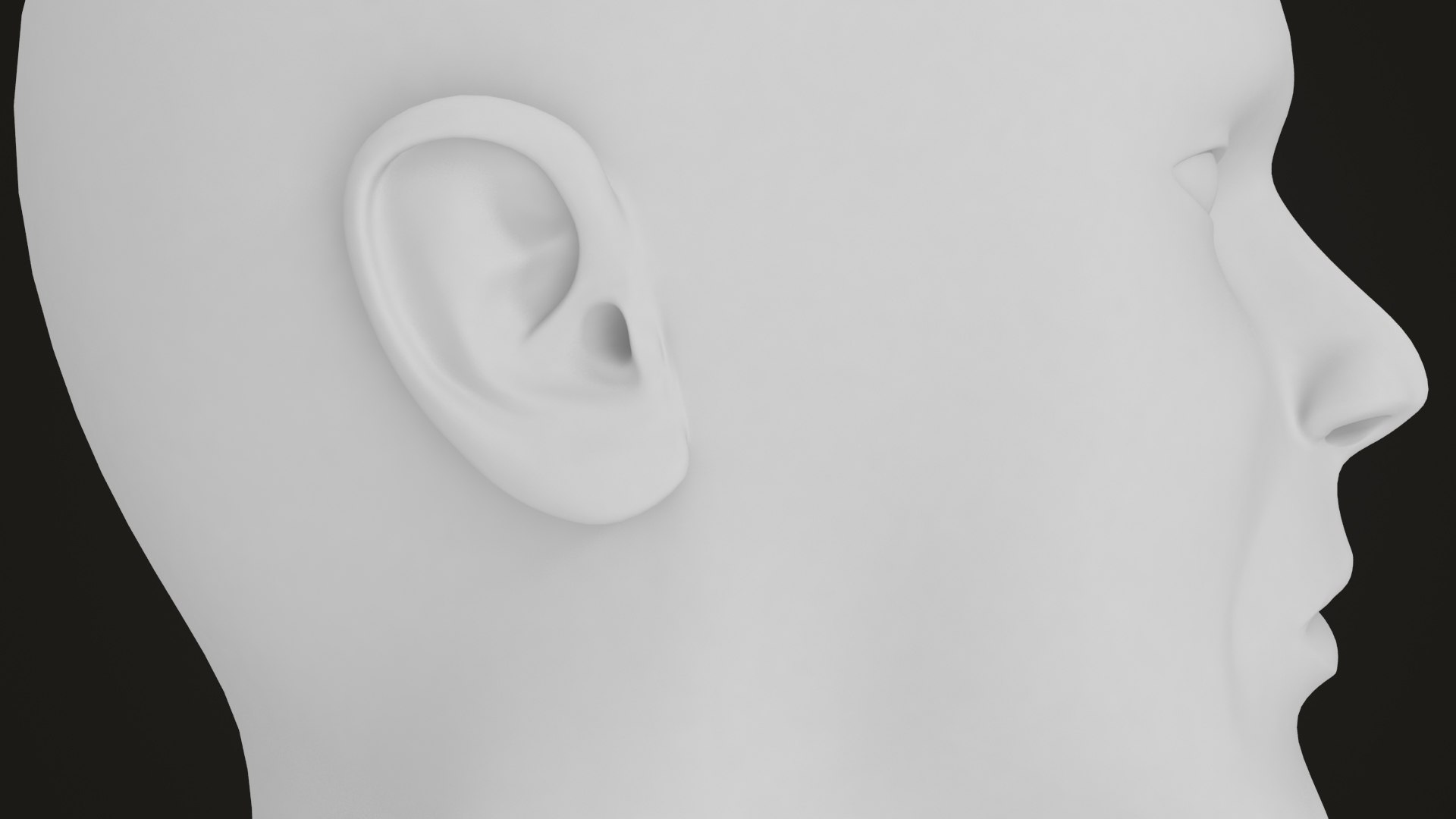 Male Head Unwrapped 3D Model - TurboSquid 1573085