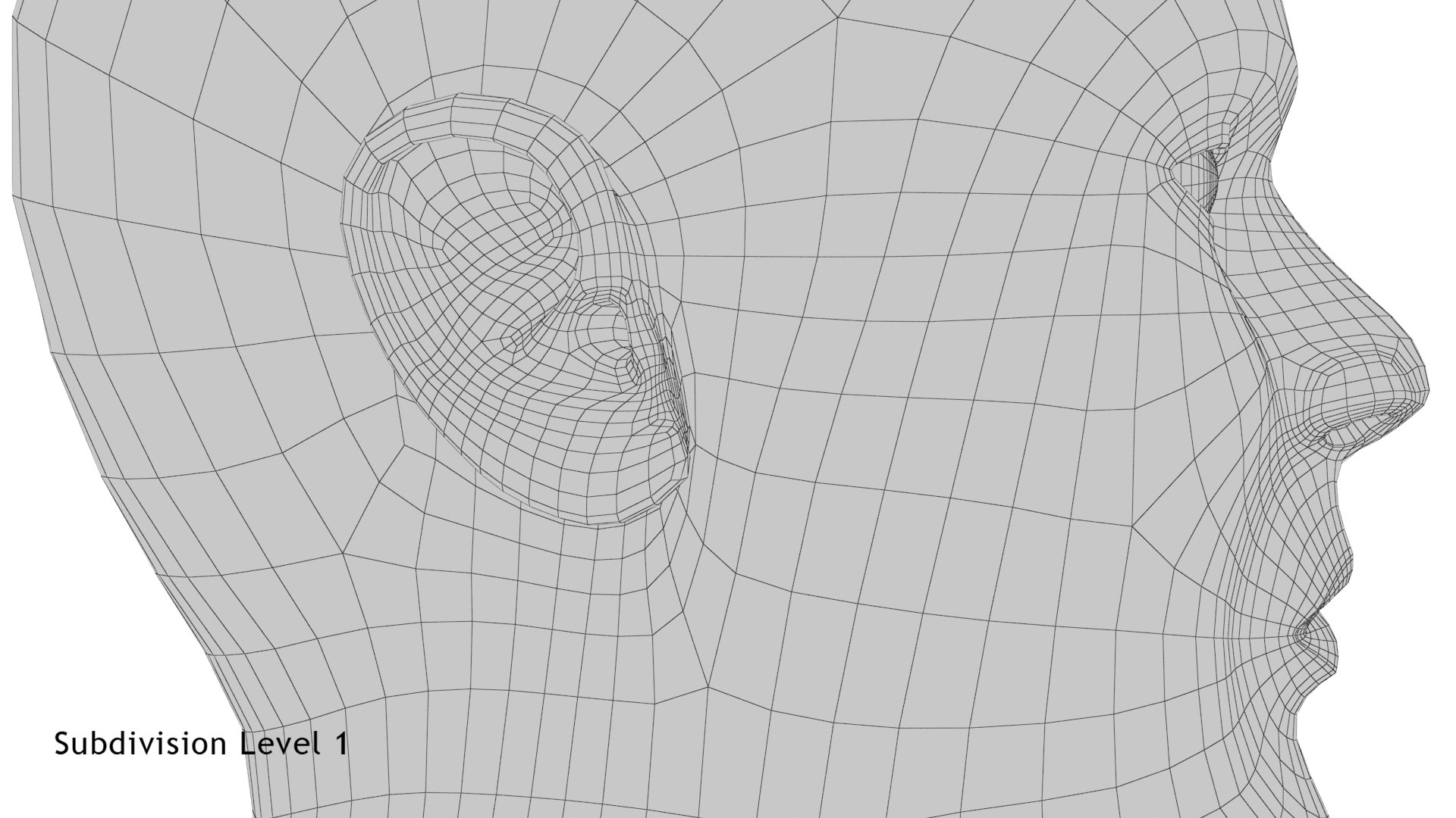 Male head unwrapped 3D model - TurboSquid 1573085