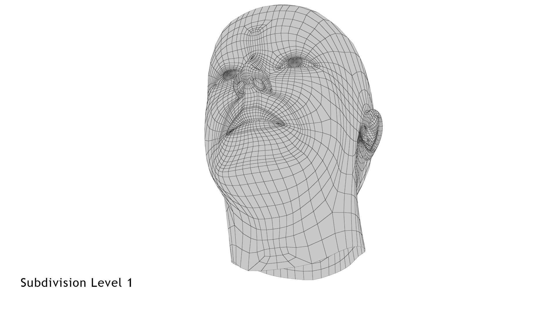 Male Head Unwrapped 3D Model - TurboSquid 1573085