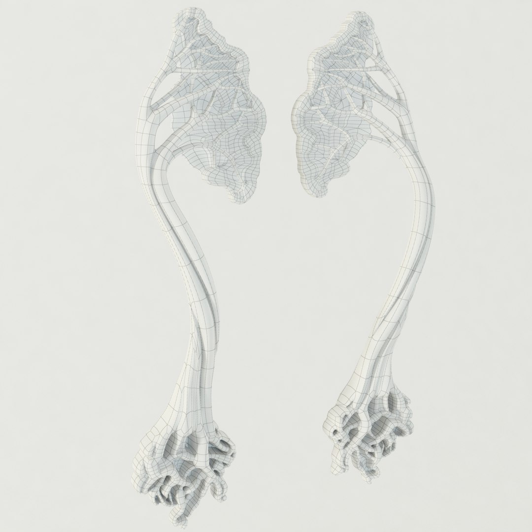 Max Doorknobs Art Nouveau Martin