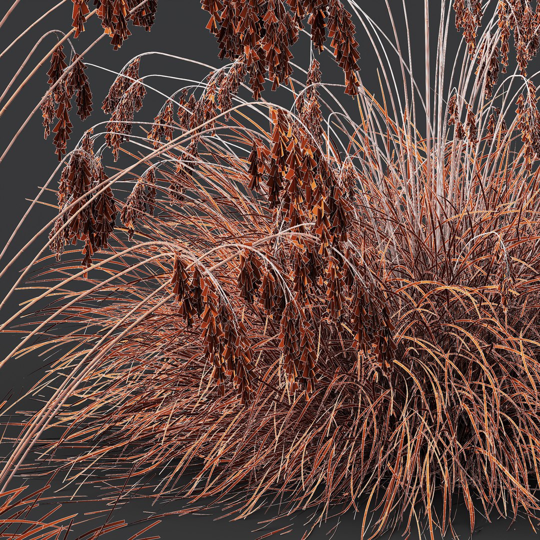 HQ Plants Helictotrichon Sempervirens Pendula Avoine Blue Version03 3D ...