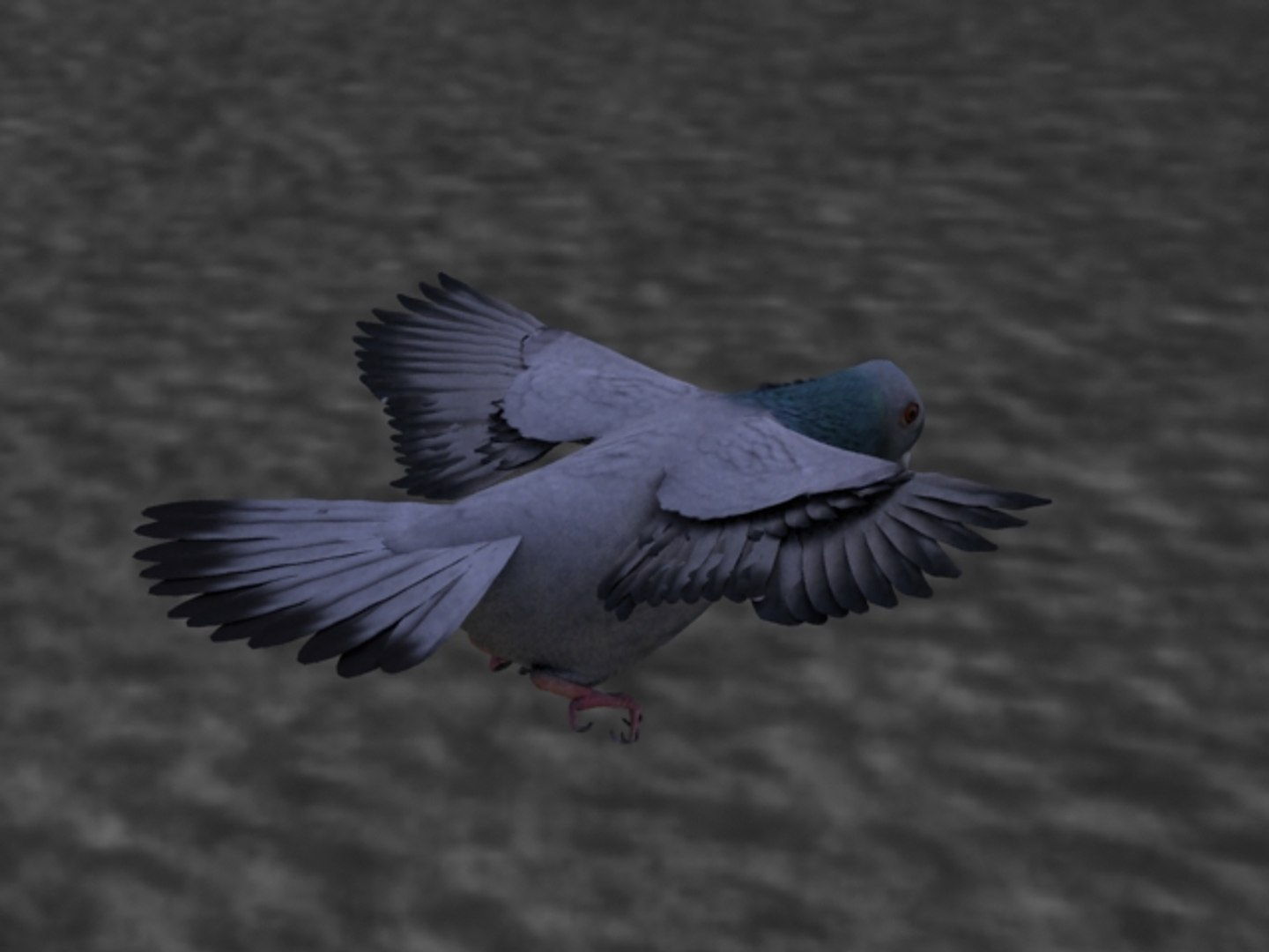 Pigeon Rigged Flight 3d Model