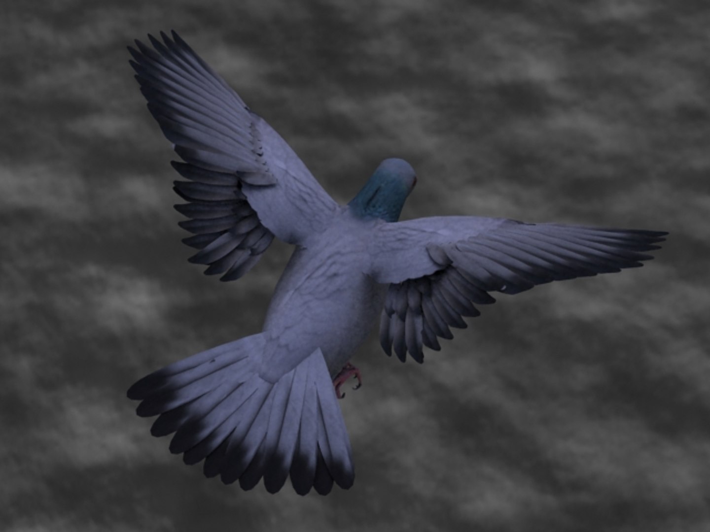 Pigeon Rigged Flight 3d Model