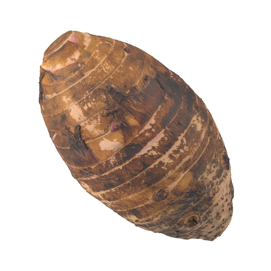 Photorealistic Scanned Taro 3D Model - TurboSquid 1431352